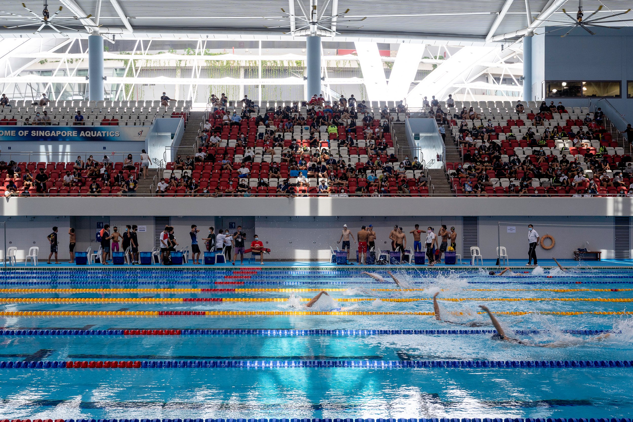 Singapore's future swimming stars in action at the National School Games!