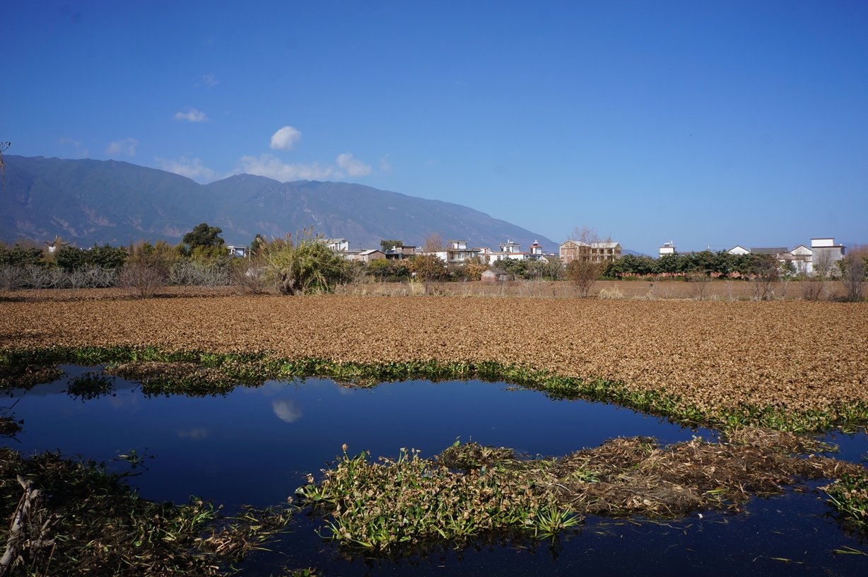 Cycling around Erhai Lake - ActiveSG
