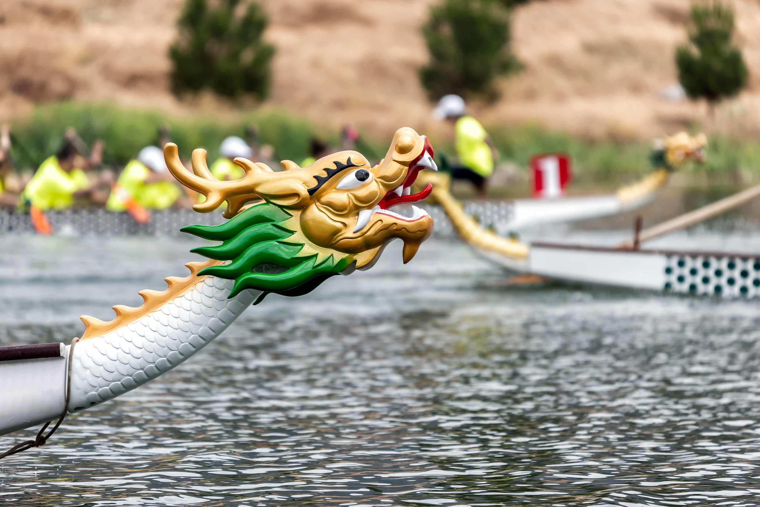 Pesta Sukan | Dragon Boat
