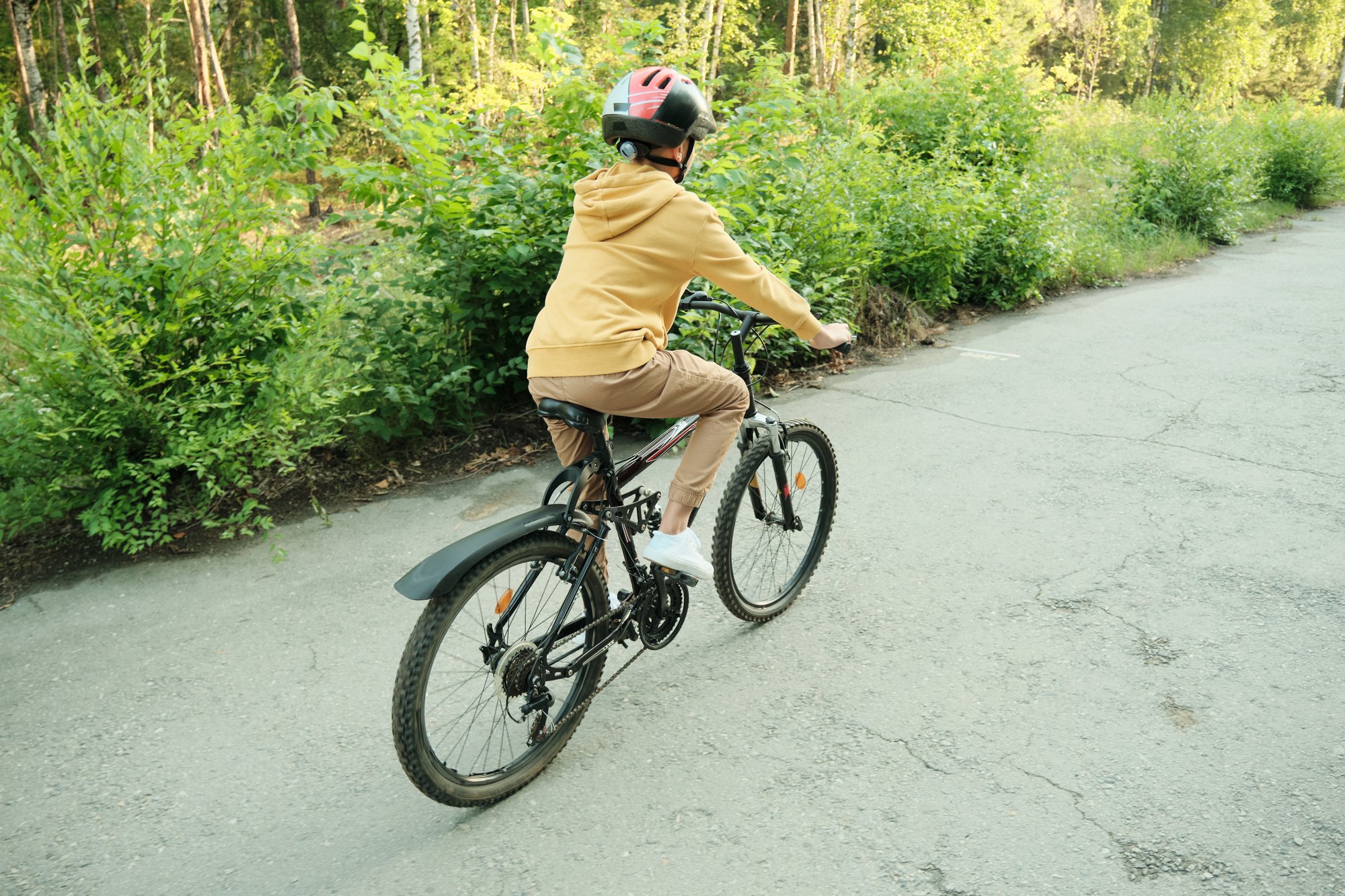 How regular exercise benefits performance and well-being in students