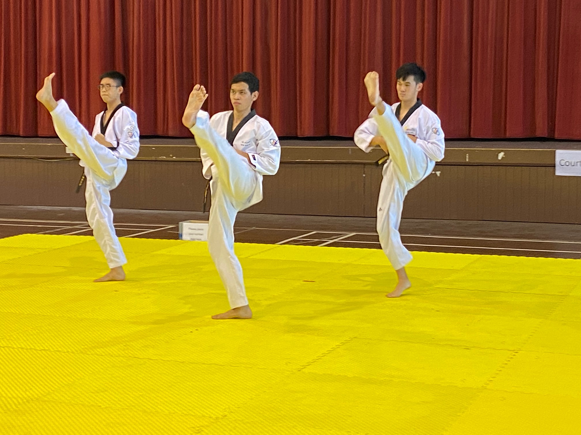 NSG Taekwondo : Punches, kicks and shouts as TKD athletes perform their ...